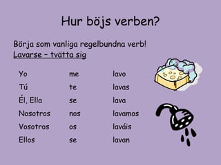 Reflexiva verb | PPT