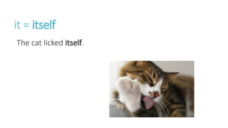 reflexive-pronouns reflexive presentation _149322 5.pptx