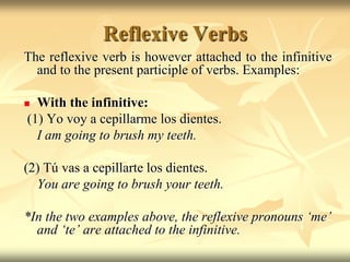 Reflexives | PPT