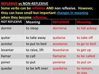 Reflexive Verb PPt | PPT