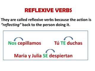 Reflexive verbs slideshow 2 | PPT
