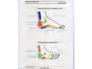 REFLEXOLOGIA PODAL MAPA DE LOS PIES LILIANA | PDF