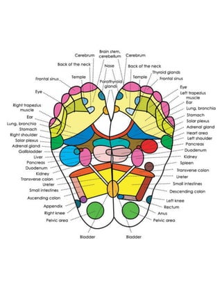 Reflexology Chart | PDF