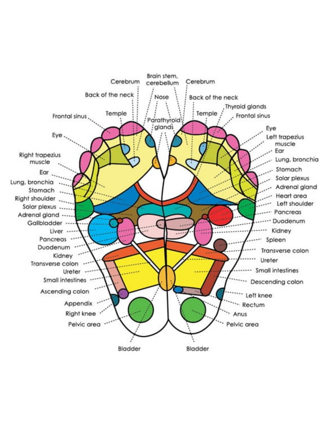 Reflexology Chart | PDF