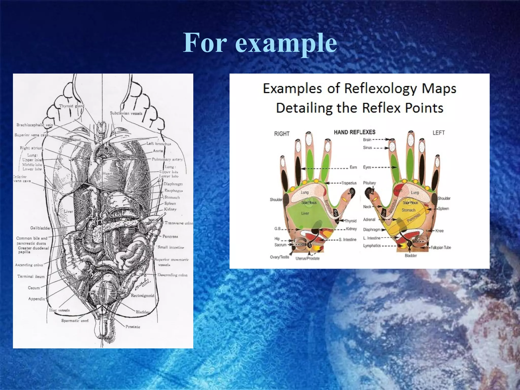 Reflexology lecture tool (1) | PPT