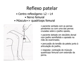 Reflexos | PPT