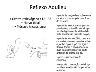 Diagrama Do Reflexo De Aquiles