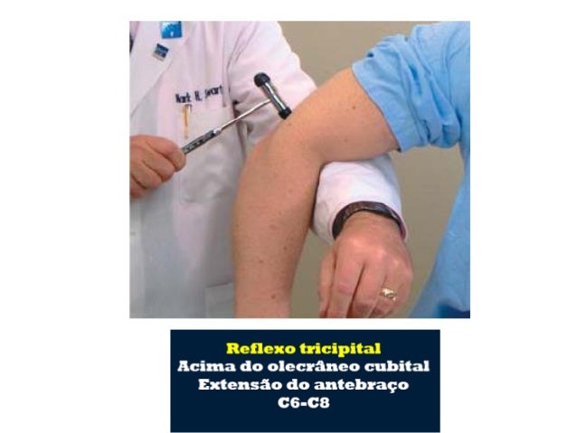 Arco Reflexo Do Triceps