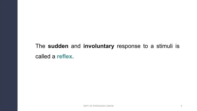 Reflex | PDF
