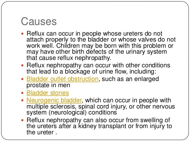 Nephropathy What Is Reflux Nephropathy