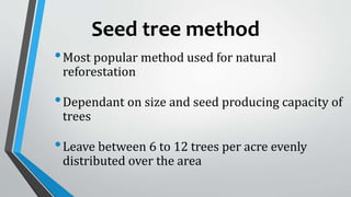 Reforestation | PPTX