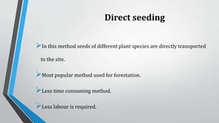 Reforestation | PPTX