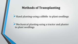 Reforestation | PPTX
