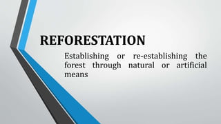 Reforestation | PPTX