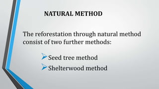 Reforestation | PPTX