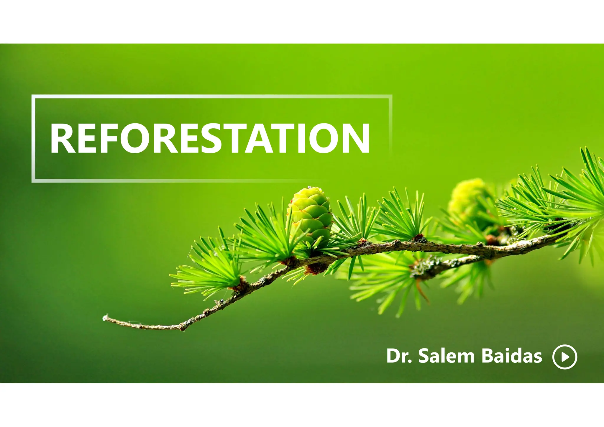 Reforestation | PDF
