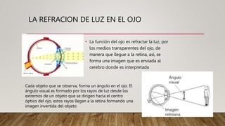 refraccion de la luz FINAL.pptx