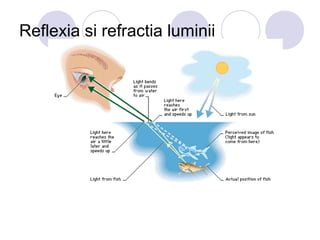 Refractialuminiilectie | PPT