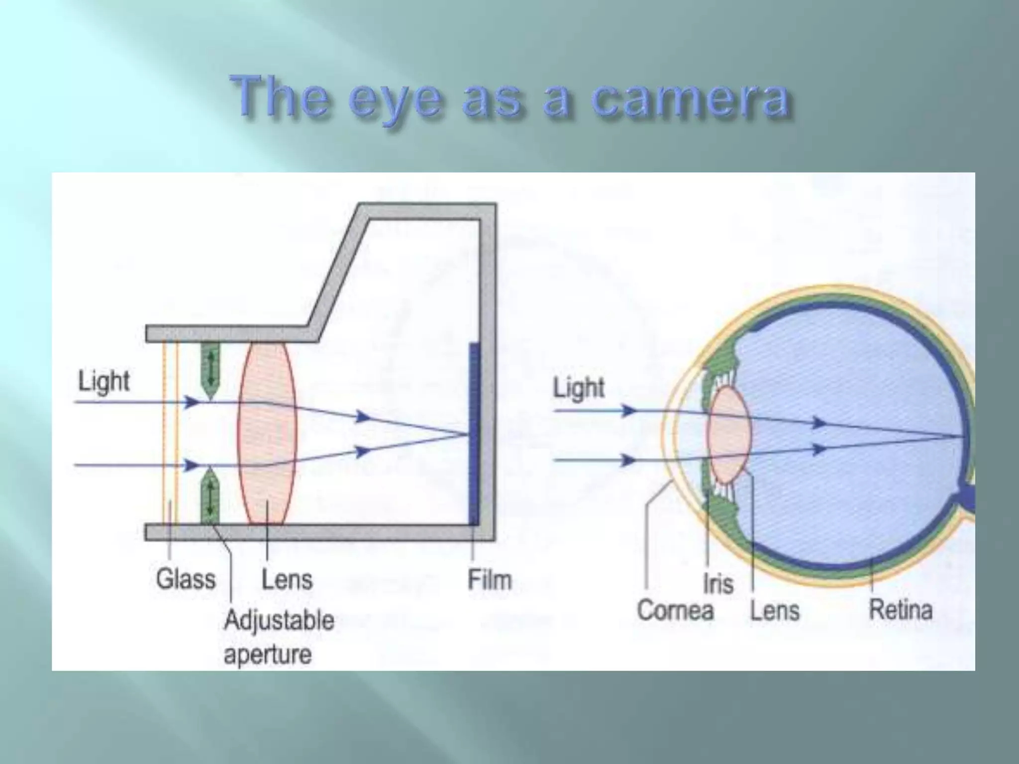 Refraction and refractive errors | PPT