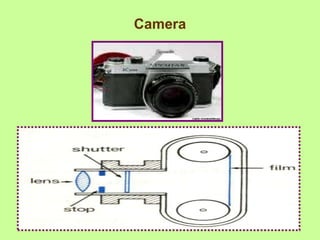 Refraction of light | PPTX