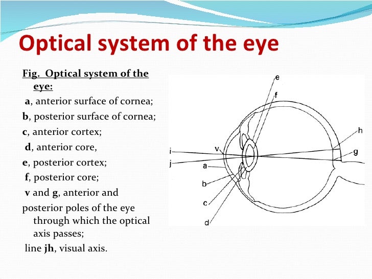 Ophthalmology 5th year, 4th lecture (Dr. Tara)
