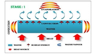 Refractive window drying - a novel technology | PDF