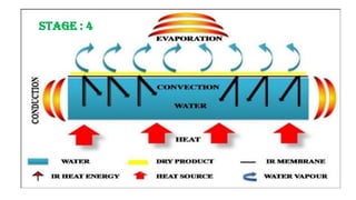 Refractive window drying - a novel technology | PDF