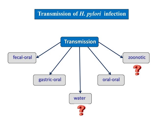 Refractory H pylori infection , navigation through different guidelin…