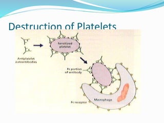 Refractory itp | PPTX