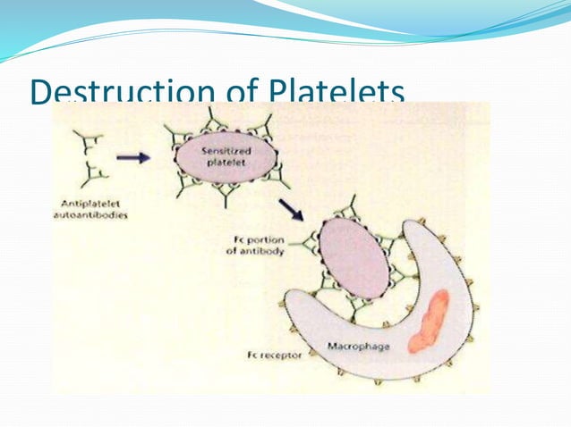 Refractory itp | PPT