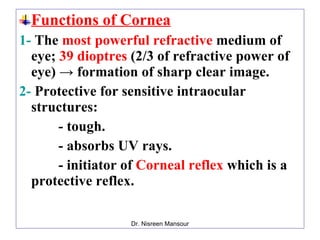 Refractory Media Of Eye S4 March 10 | PPT