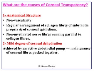 Refractory Media Of Eye S4 March 10 | PPT