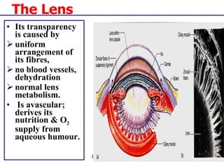 Refractory Media Of Eye S4 March 10 | PPT