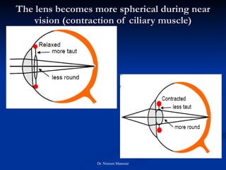 Refractory Media Of Eye S4 March 10 | PPT