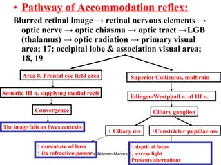 Refractory Media Of Eye S4 March 10 | PPT