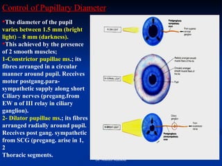 Refractory Media Of Eye S4 March 10 | PPT
