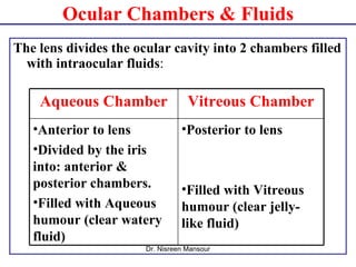 Refractory Media Of Eye S4 March 10 | PPT