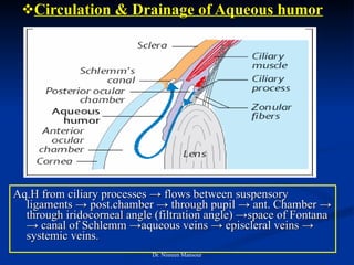 Refractory Media Of Eye S4 March 10 | PPT