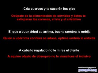 Refranes De Pijos 11845 | PPS