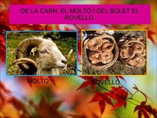 Refranys bolets berta isolda | PPT