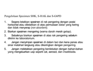 Refreshement Pengambilan Sample SHK, S-HAK, S-G6PD.pptx