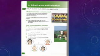 Refreshing our memory | PPT