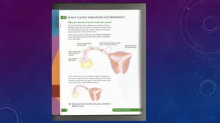 Refreshing our memory | PPT