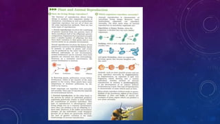 Refreshing our memory | PPT