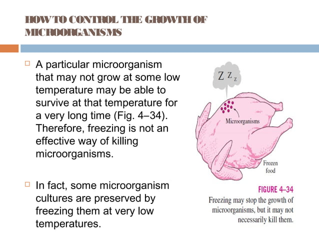 Refrigeration and freezing of foods (control of microorganisms) | PPT