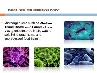 Refrigeration and freezing of foods (control of microorganisms) | PPT