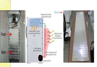 Working of Refrigerator and its principle. | PPTX