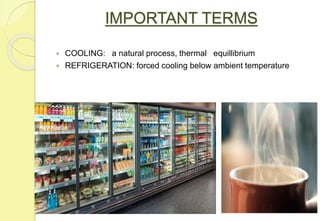 Working of Refrigerator and its principle. | PPTX