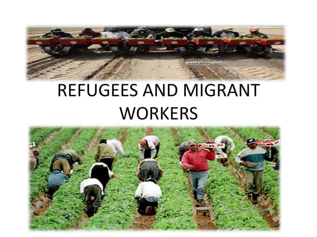 Refugees and migrant workers | PPT