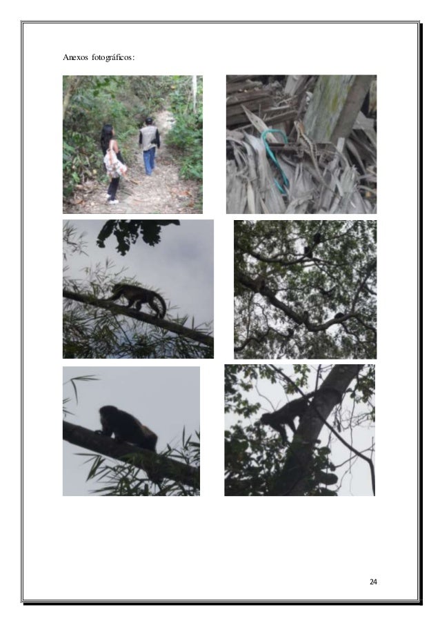 Refugio de vida silvestre marino costero pacoche